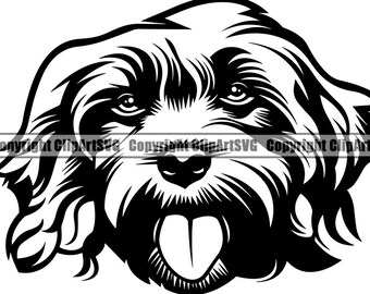 Cockapoo Face Svg - Etsy