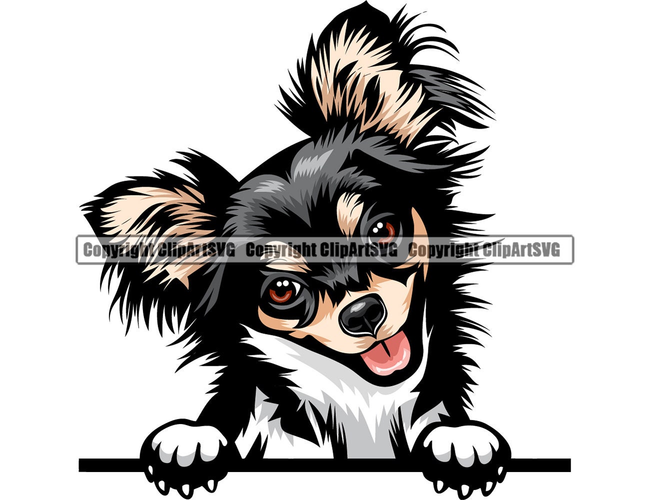 Chihuahua Dog Breed Peeking Peek-a-boo Happy Puppy Pet Long Short Hair ...