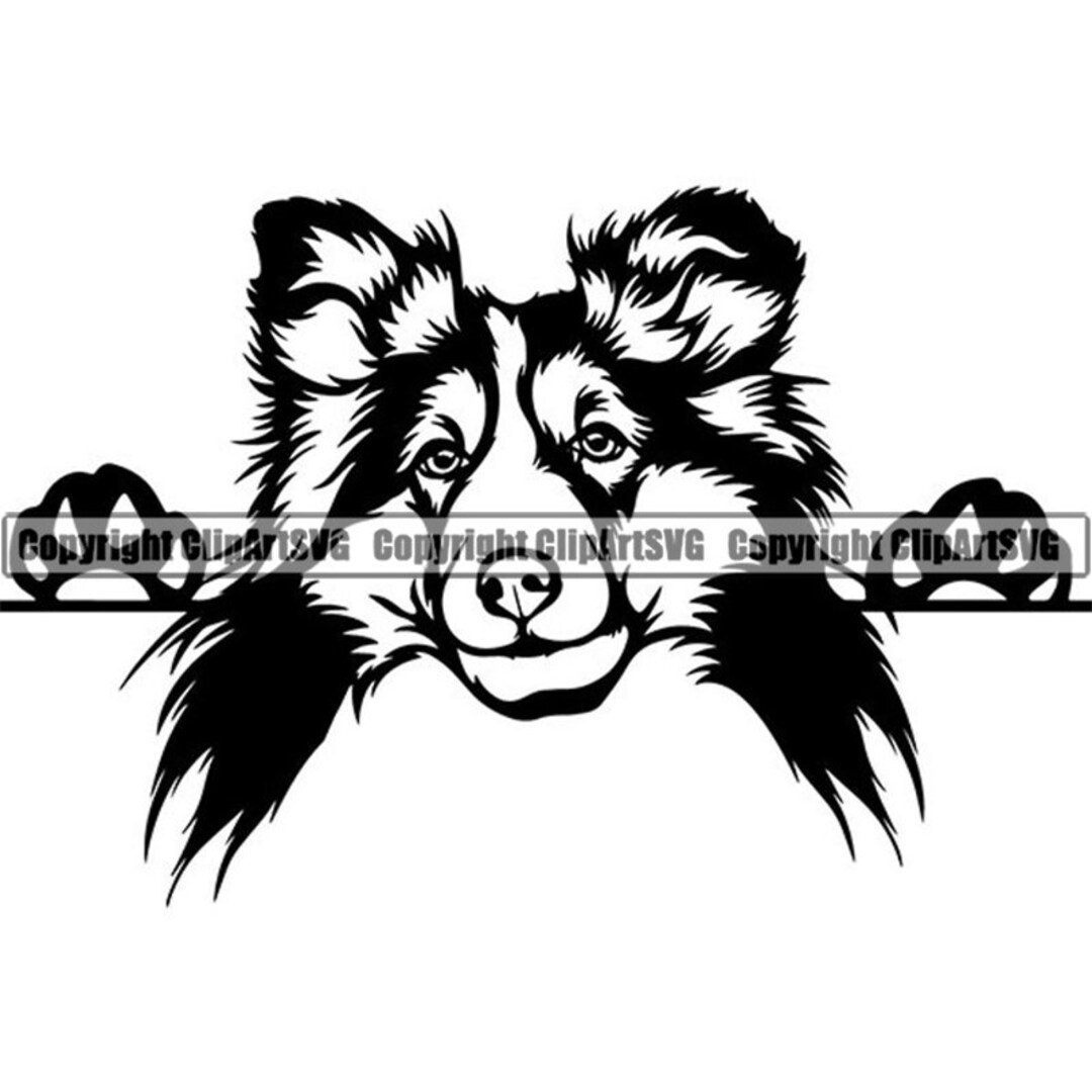 Shetland Sheepdog 22 Peeking Sheltie Puppy Dog Breed Pedigree K-9 ...