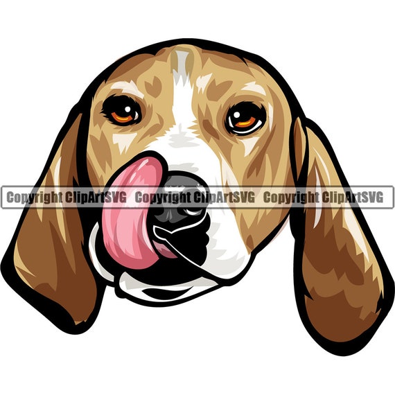 Beagle Dog Breed Happy Face Puppy Smile Animal Pet Pedigree | Etsy