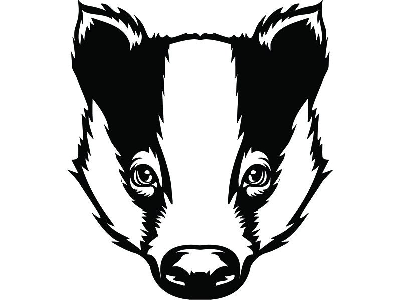 Badger 1 Head Face Animal Mammal Cartoon College High School | Etsy