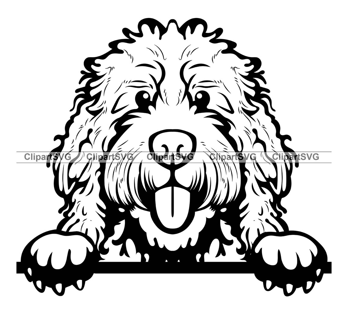 Sheepadoodle Smiling Peeking Dog Cute Puppy Face Canine Pet Old English ...
