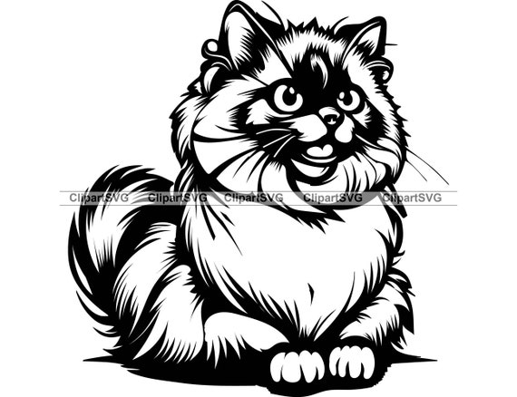 Smiling Kitten Drawing