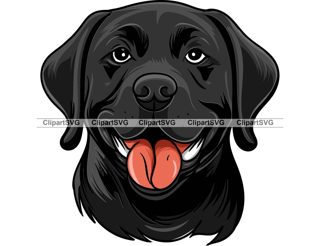 Black Labrador Retriever Smiling Dog Puppy Face Canine Pet Portrait Lab ...