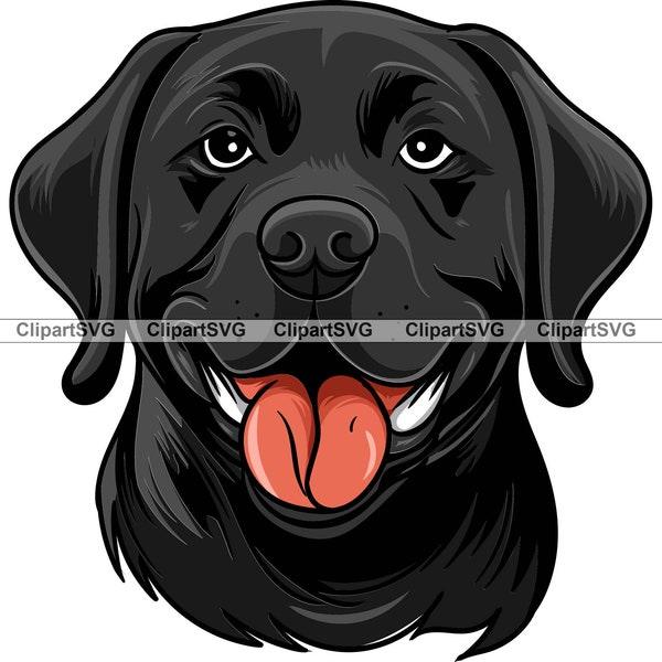 Lab Face Svg - Etsy