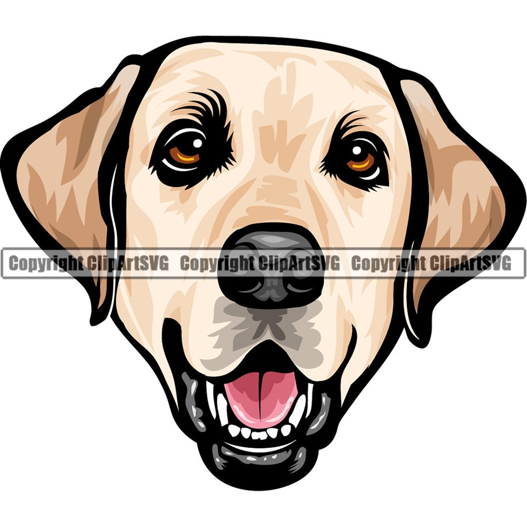 Labrador Dog Breed Happy Face Puppy Animal Pet Pedigree Purebred Color ...