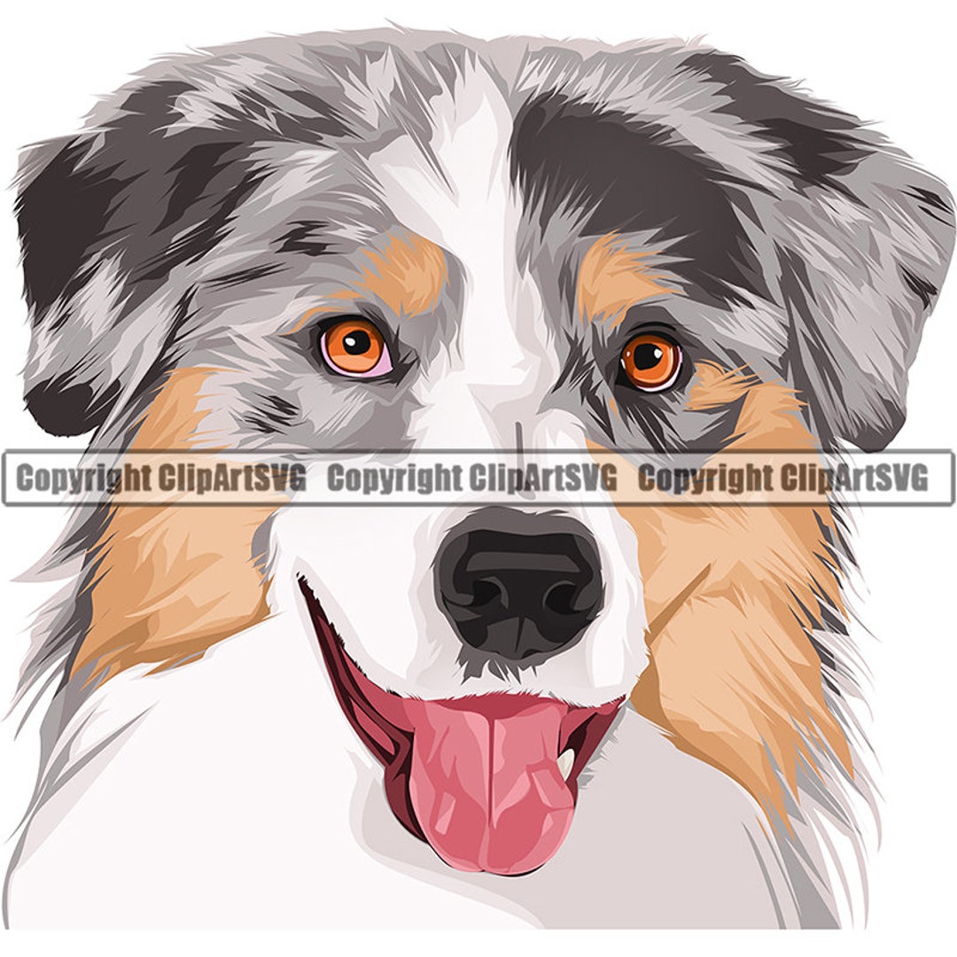 Australian Shepherd Dog Breed Smiling Puppy K-9 Animal Pet Hound ...