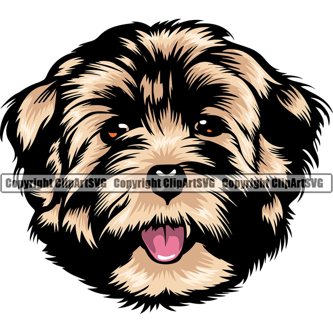 Havanese Dog Breed Head Happy Face Smile Paw Puppy Pup Pet K-9 Maltese ...