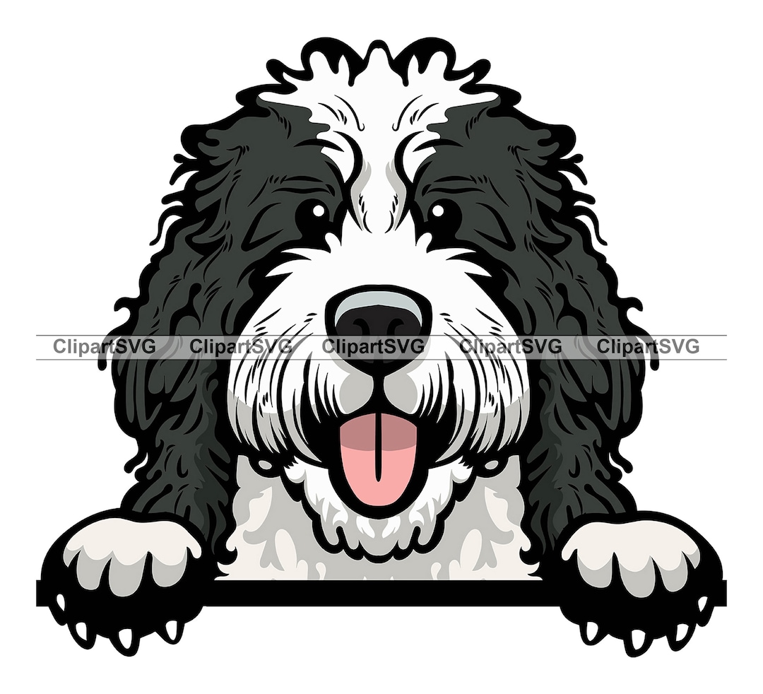 Sheepadoodle Smiling Peeking Dog Cute Puppy Head Canine Pet Old English ...