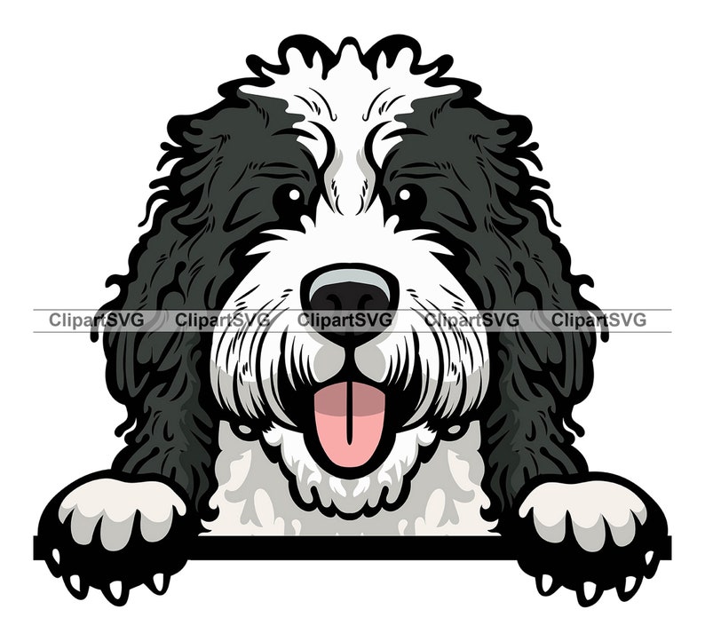 Sheepadoodle Smiling Peeking Dog Cute Puppy Head Canine Pet Old English ...