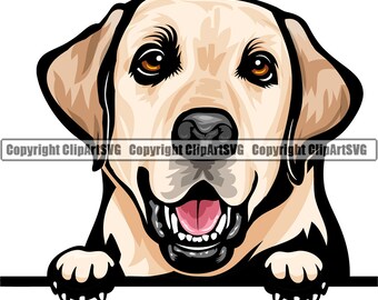 Peek a Boo Lab - Etsy