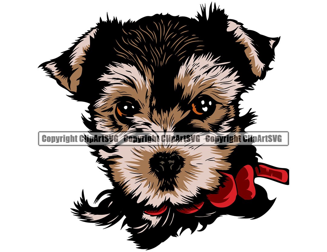 Yorkshire Terrier Yorkie Dog Breed Smiling Puppy Animal Pet Hound ...