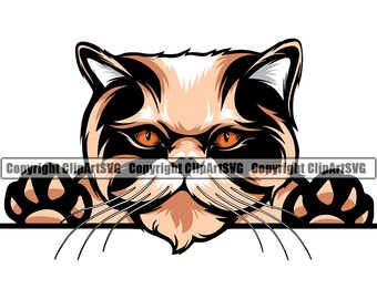 Peek a Boo Kitten | Etsy