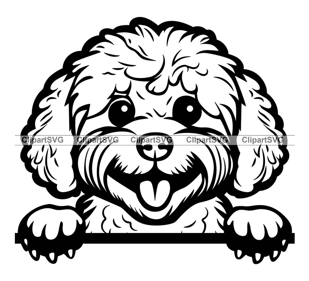 Poochon Smiling Peeking Dog Cute Puppy Face Canine Pet Bichon Frise Toy ...