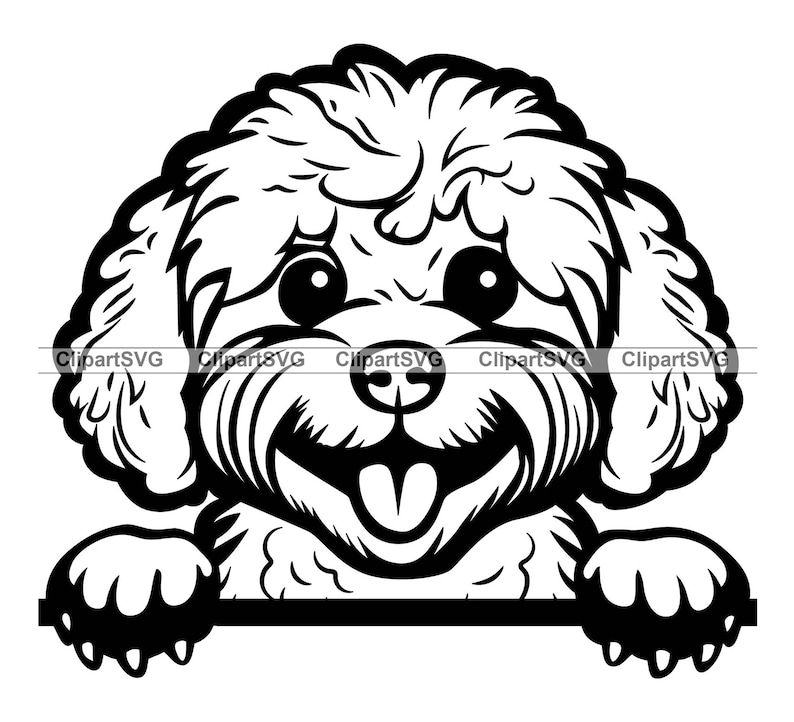 Poochon Smiling Peeking Dog Cute Puppy Face Canine Pet Bichon - Etsy