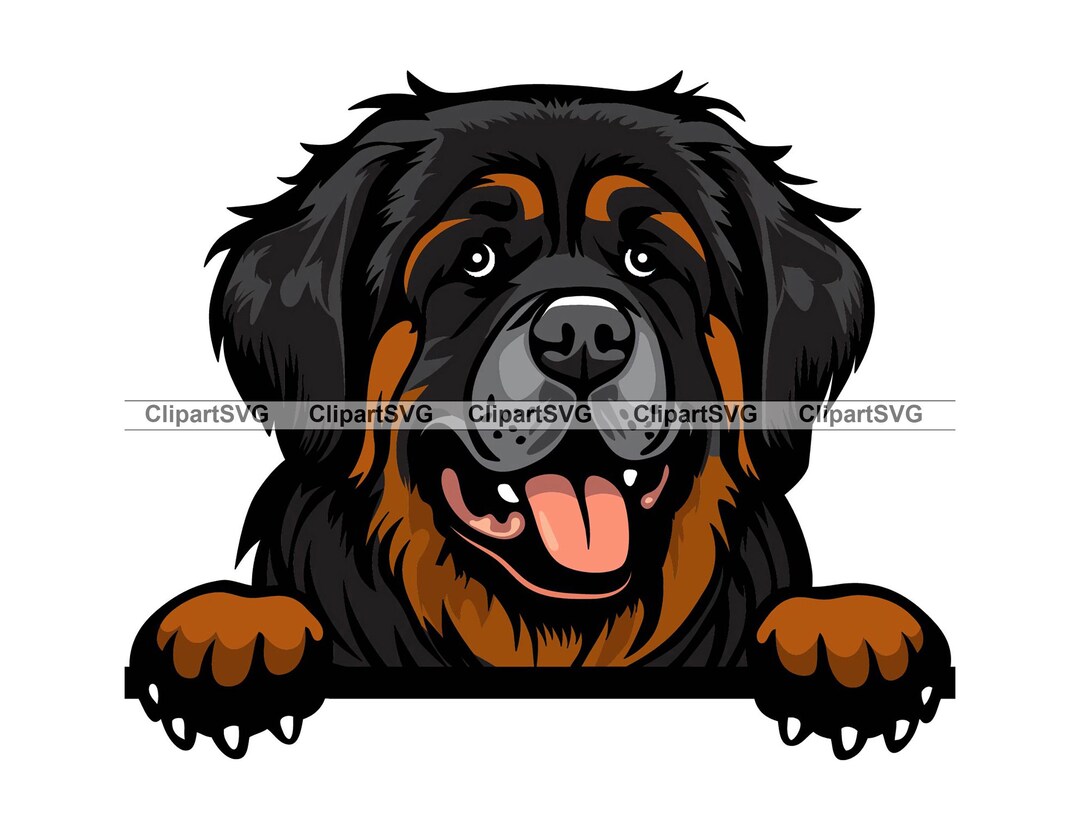 Tibetan Mastiff Smiling Peeking Dog Cute Puppy Head Canine Pet ...