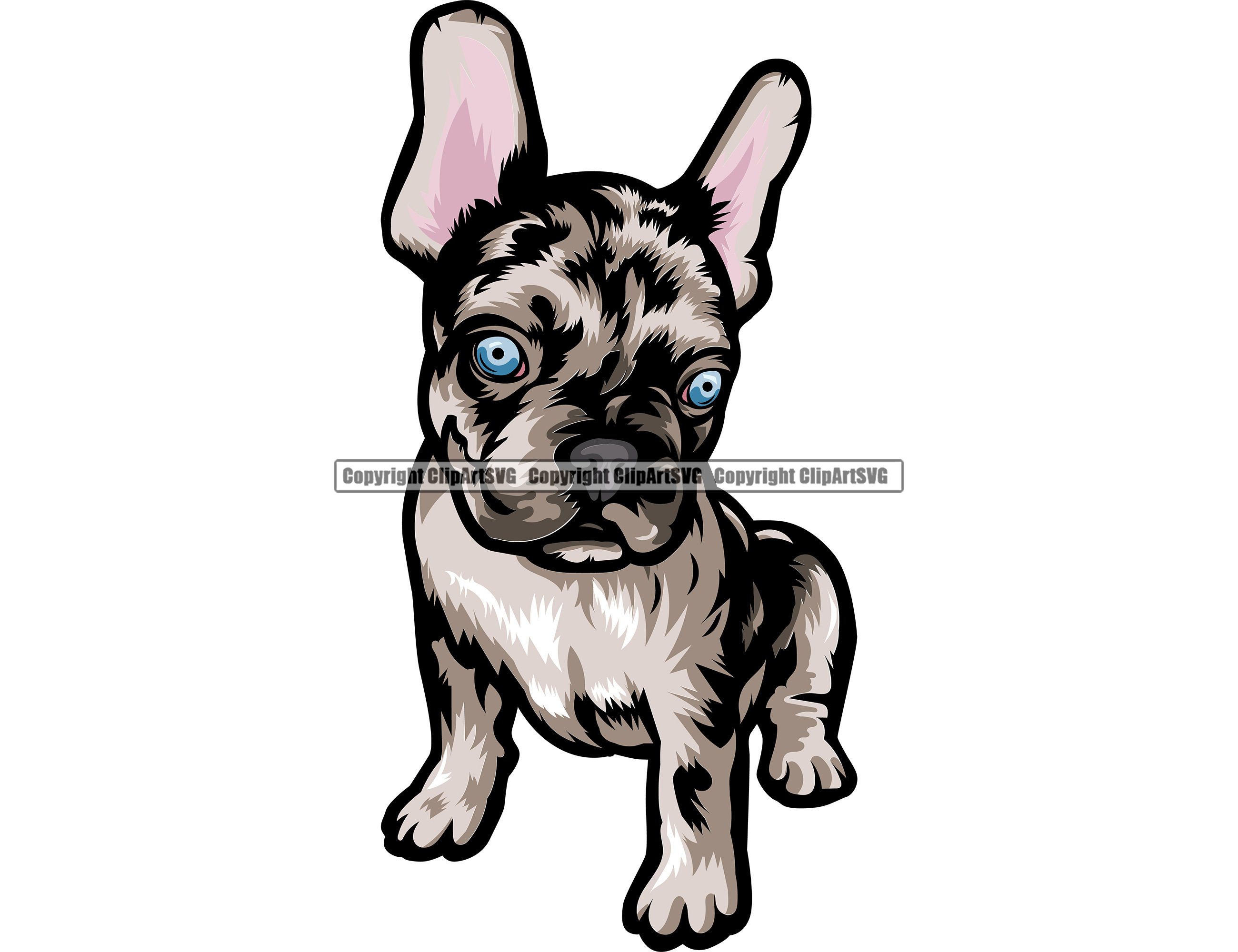French Bulldog Dog Breed Sit Sitting Pedigree Puppy Pup K-9 Art Pet ...