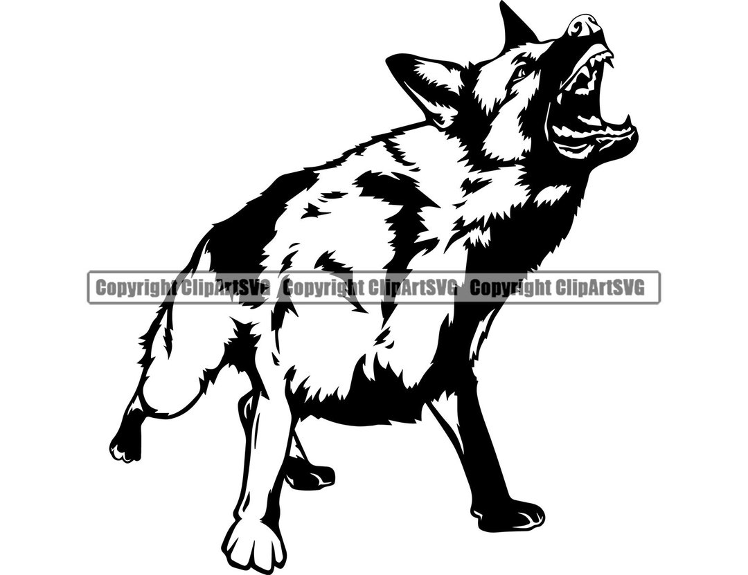 Attack German Shepherd Dog Breed Growling K-9 Police Cop Dog Training ...