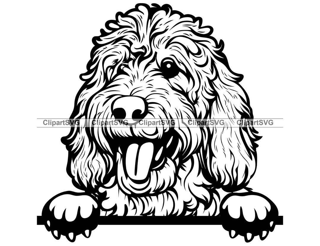 Pyredoodle Smiling Peeking Dog Cute Puppy Face Canine Pet Great ...