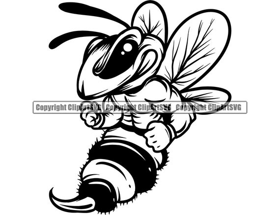 Bee Bumblebee Muscles Sting Insect Honey Honeycomb Honeybee - Etsy