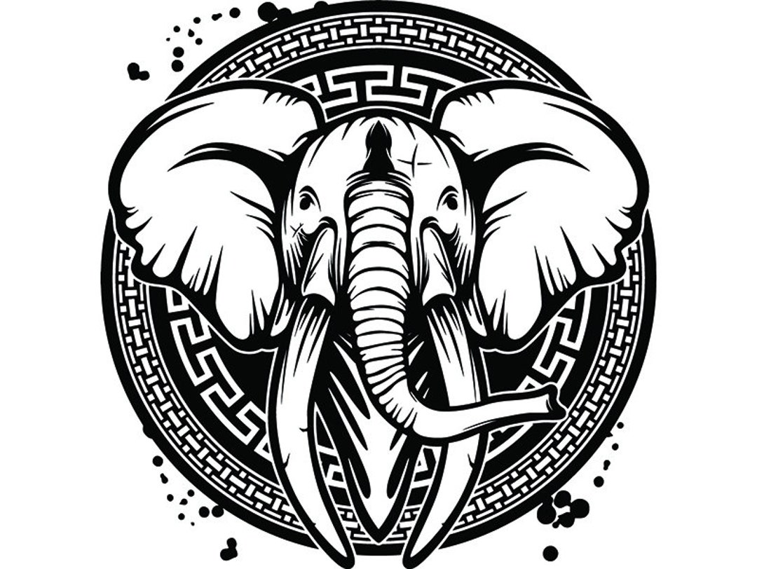 Elephant #6 Head Tusk Trunk Wild Wildlife African Animal Zoo Safari ...