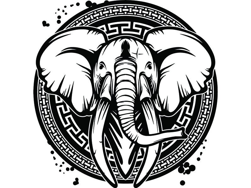 Elephant 6 Head Tusk Trunk Wild Wildlife African Animal Zoo | Etsy