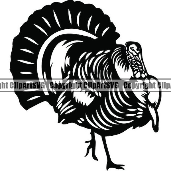 Wild Turkey Feathers - Etsy