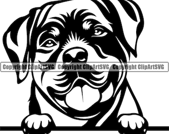 Rotty Design Logo | Etsy