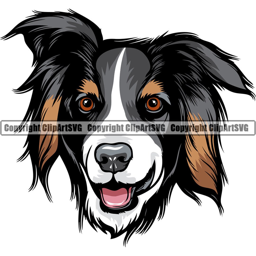 Australian Shepherd Aussie Dog Head Face Smiling Breed Happy Puppy ...