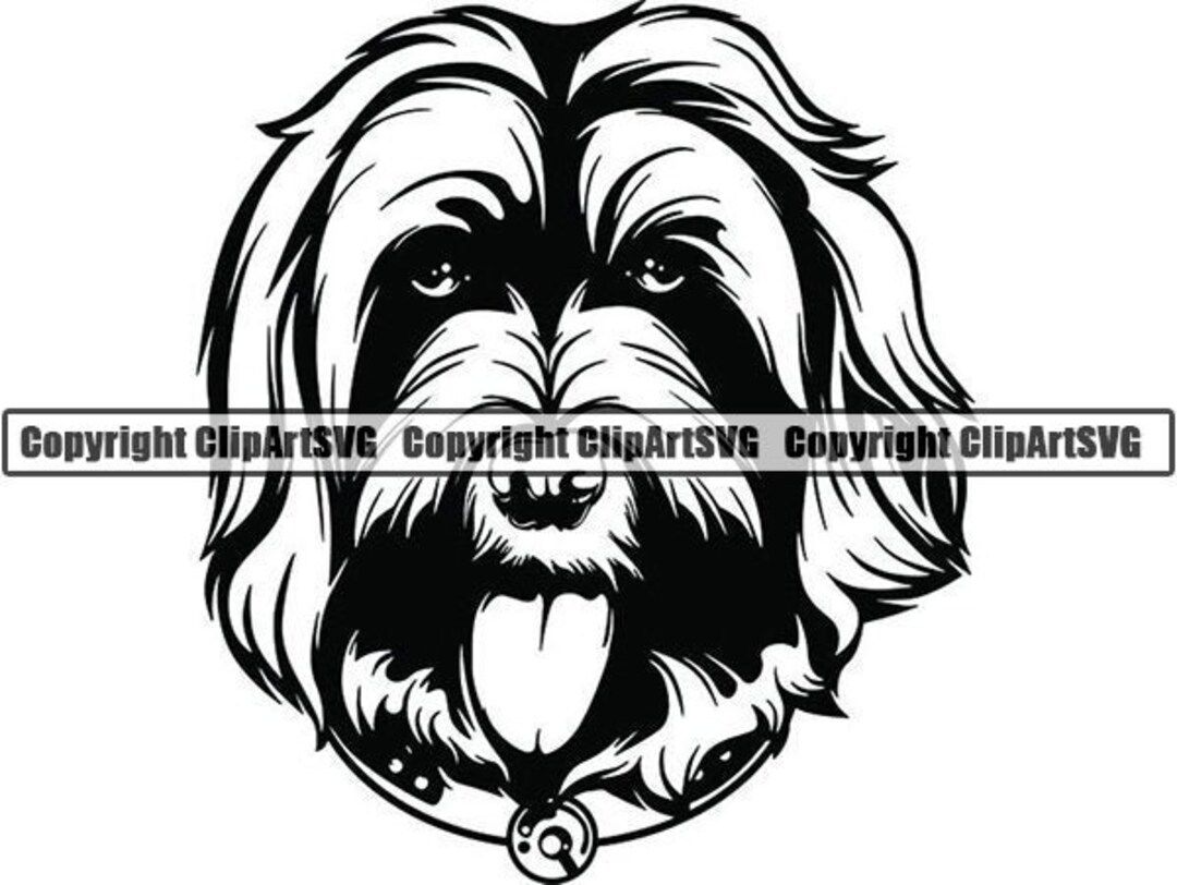 Labradoodle #8 Smiling Dog Happy Breed Puppy K-9 Pedigree Purebred ...