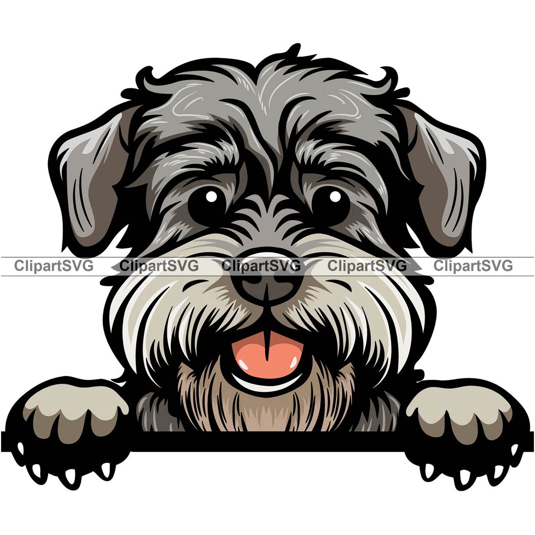 Schnoodle Smiling Peeking Dog Puppy Head Canine Pet Scottish Terrier ...