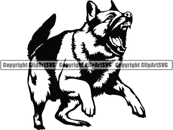 German Shepherd Snarling Drawings