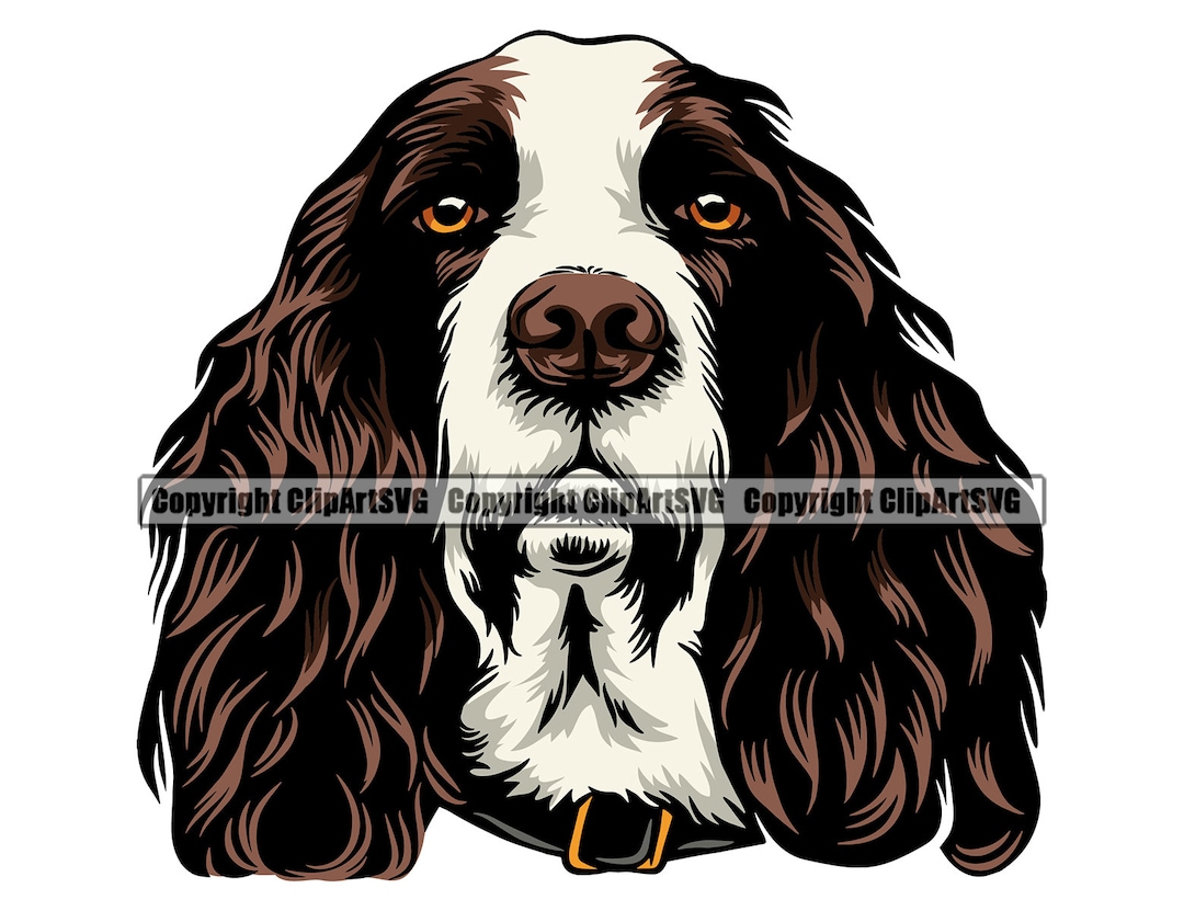 English Springer Spaniel Dog Breed Happy Puppy Animal Pet Color Artwork ...