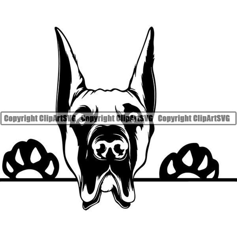 Great Dane Svg - Etsy
