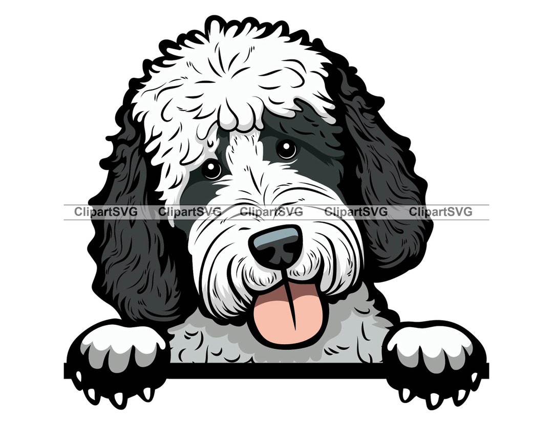 Sheepadoodle Smiling Peeking Dog Cute Puppy Head Canine Pet Old English ...