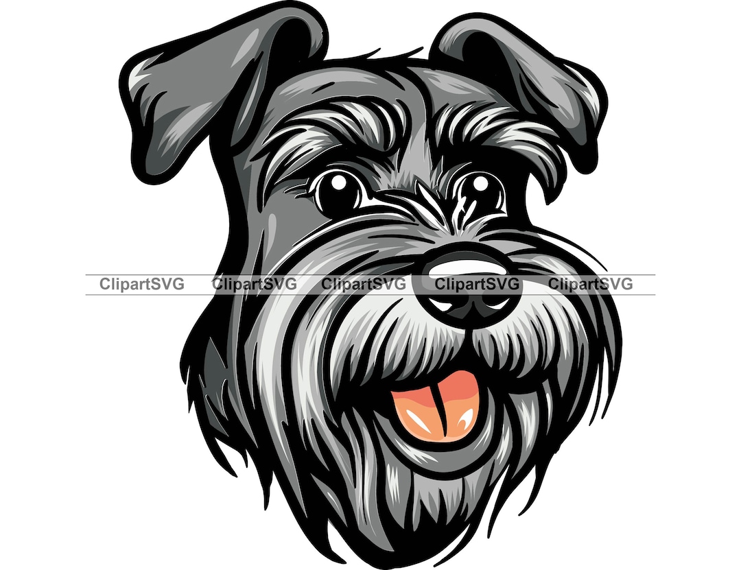 Schnauzer Smiling Dog Cute Puppy Head Canine Pet Scottish Terrier ...