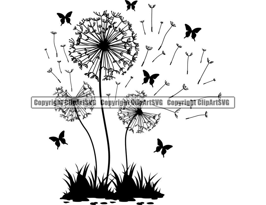 Dandelion Flower Blow Pedal Make Wish Butterfly Nature Garden Plant ...