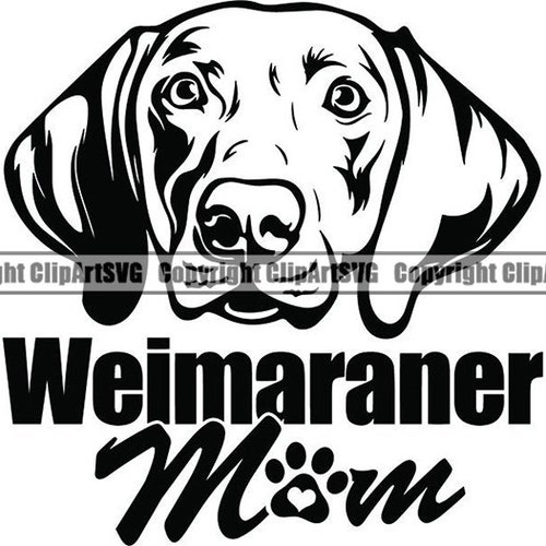 Weimaraner Dog Breed Smiling Puppy Animal Pet Hound Pedigree - Etsy