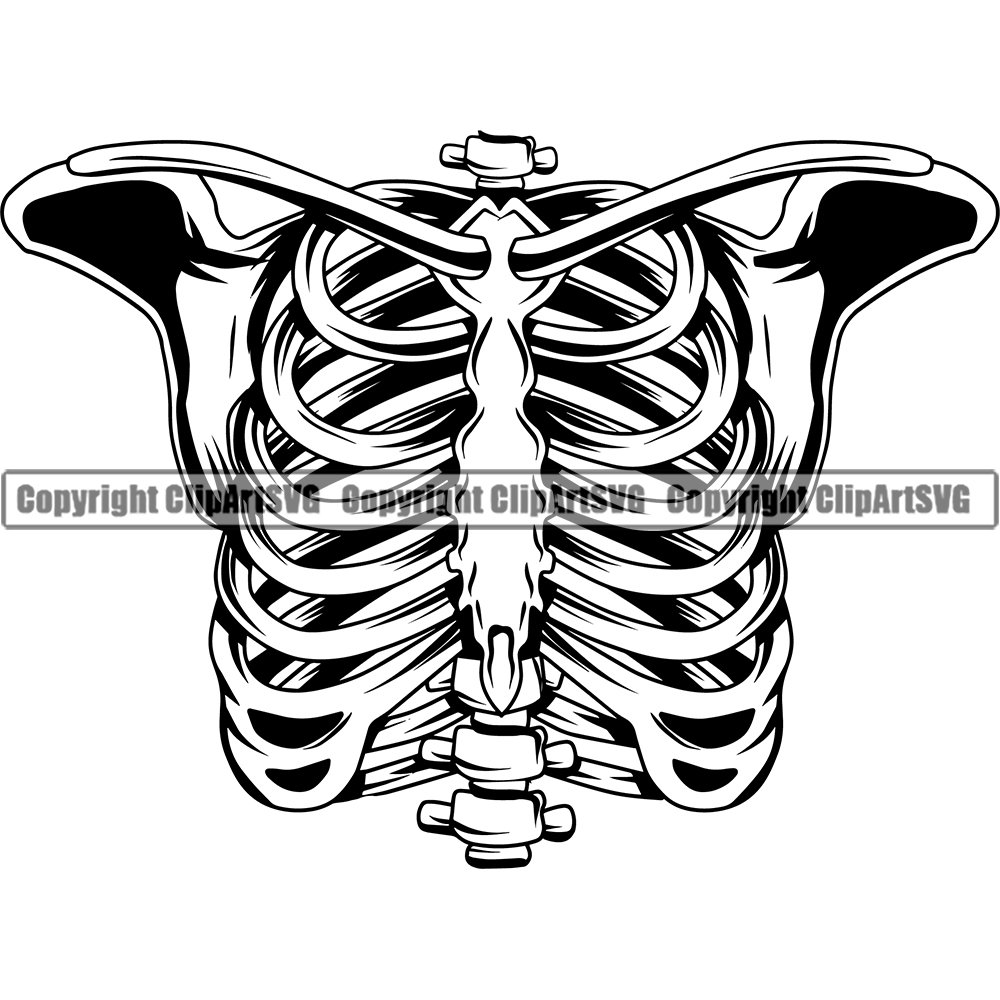 How To Draw A Skeleton Chest