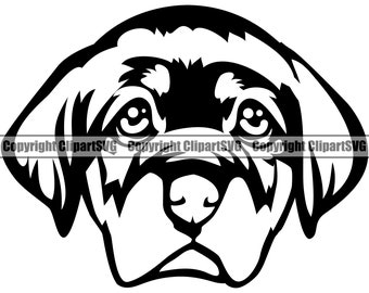 Rotty Design Logo | Etsy