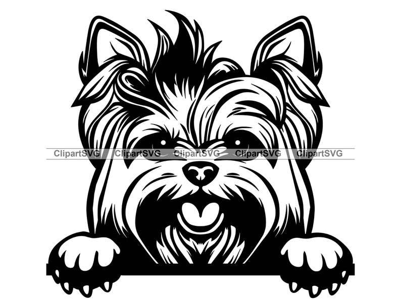Yorkshire Terrier Smiling Peeking Dog Cute Puppy Face Canine - Etsy