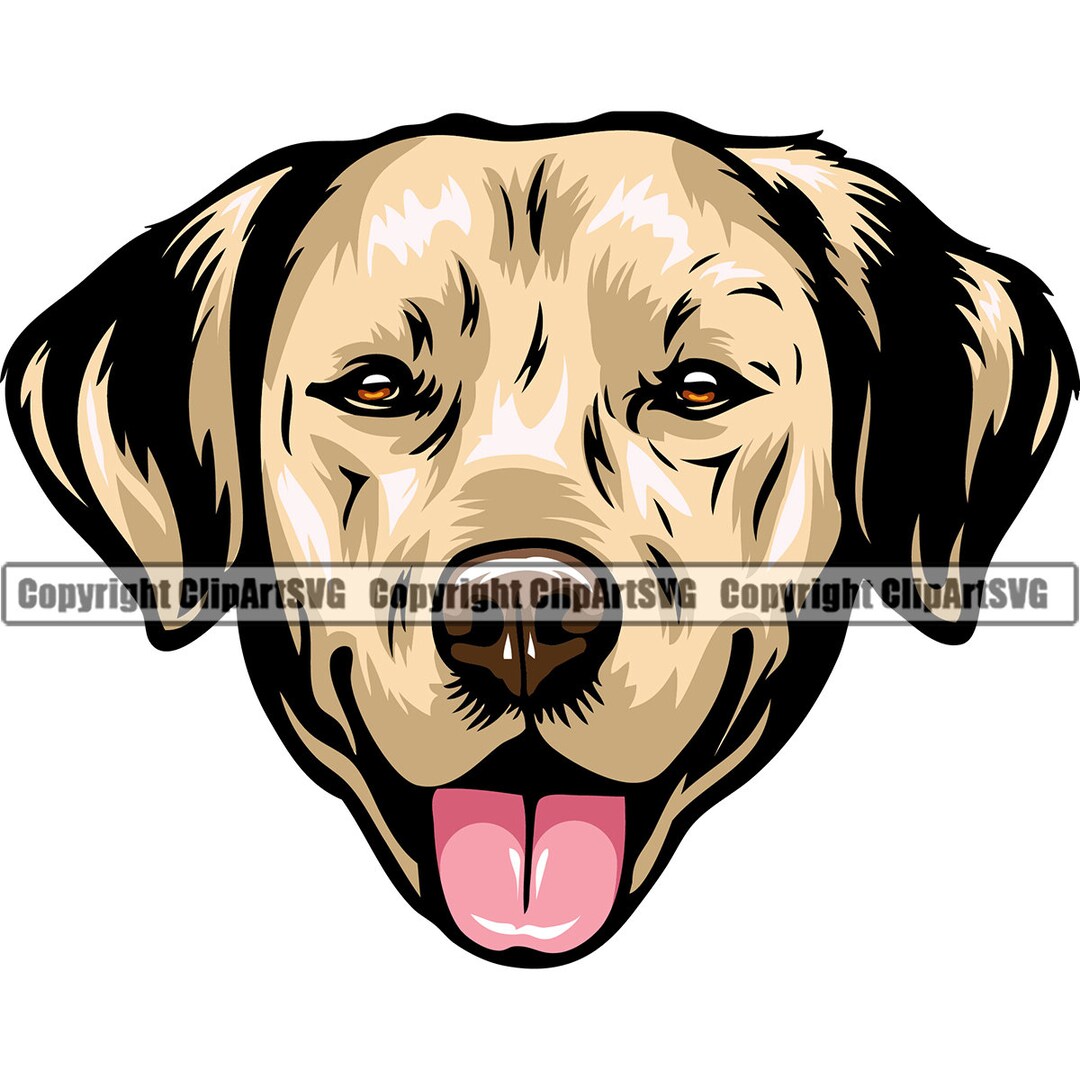 Labrador Retriever Dog Breed Happy Head Smiling Face Puppy Animal Pet ...