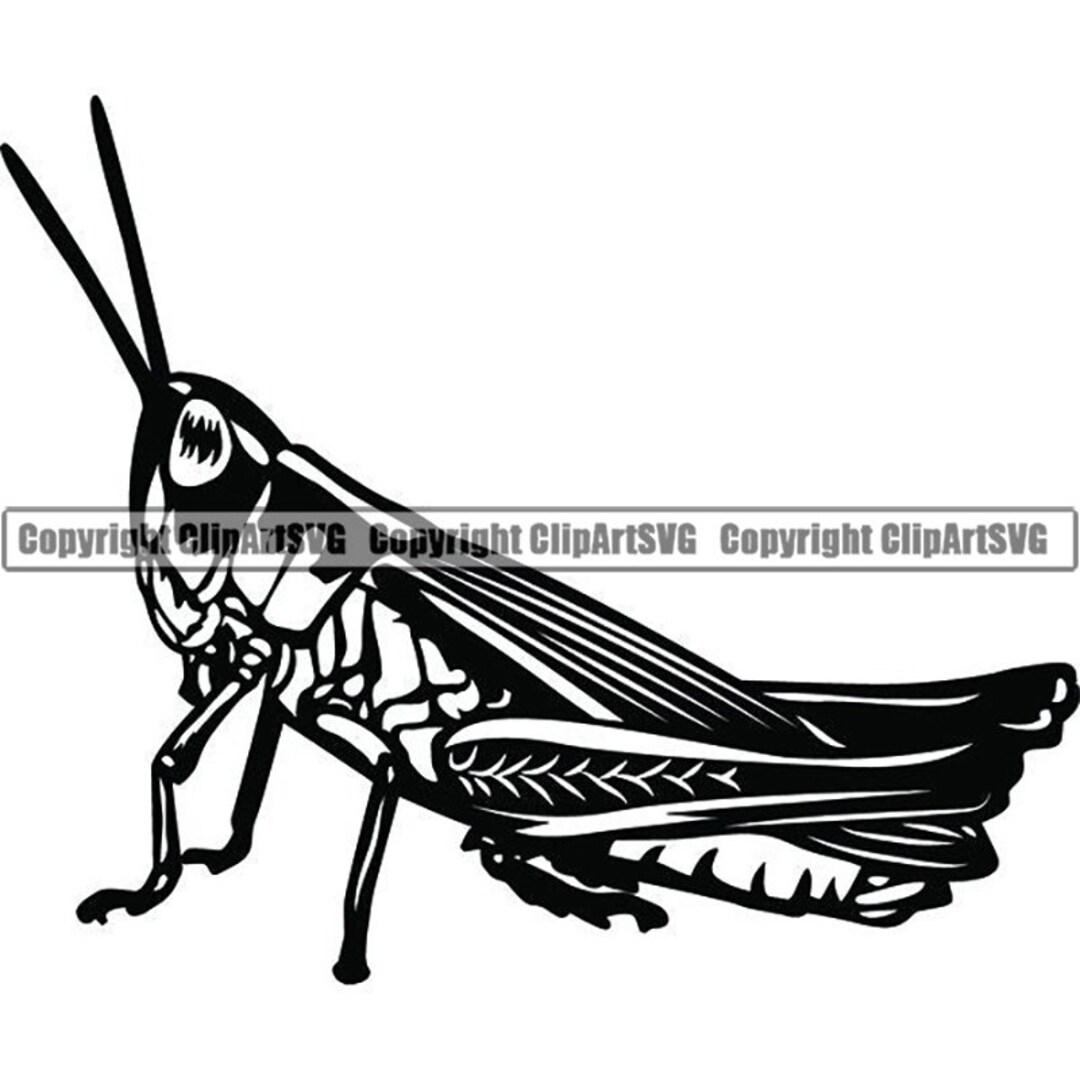 Grasshopper Poop
