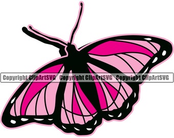 Butterfly Cocoon Svg - Etsy