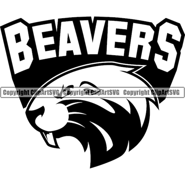 Beaver Tail Pattern - Etsy