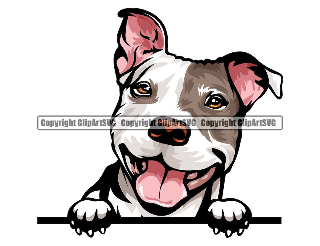 Pit Bull Dog Peeking Peek-a-boo Breed Happy Face Puppy Animal Pet Color ...