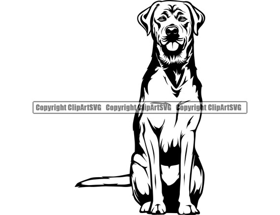 Labrador Retriever Dog Sit Sitting Breed Happy Puppy Pup Pet | Etsy