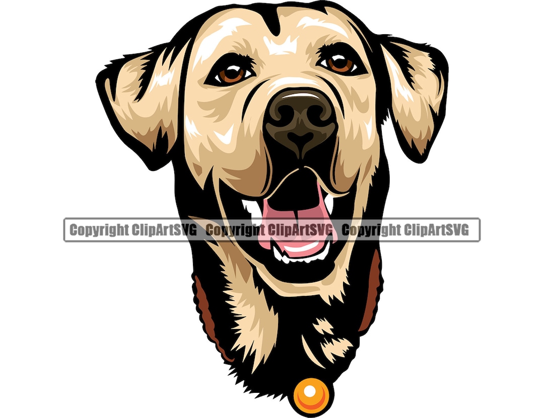 Labrador Retriever Dog Breed Happy Head Smiling Face Puppy Animal Pet ...