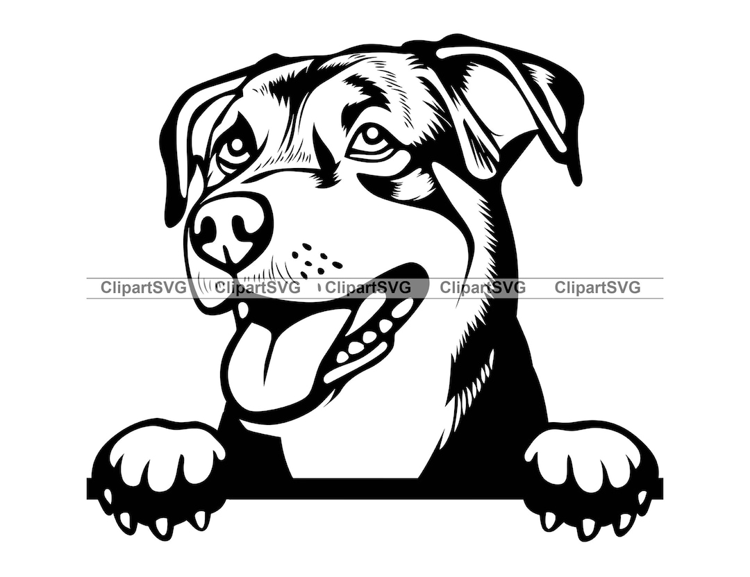 Shepweiler Smiling Peeking Dog Cute Puppy Face Canine Pet German ...