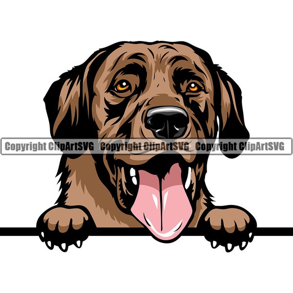 Peeking Lab Dog Svg - Etsy
